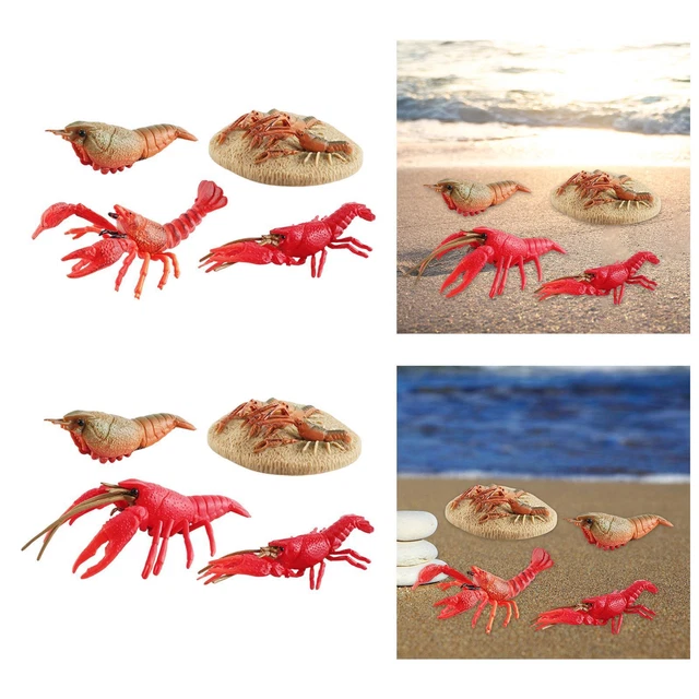LIFE CYCLE LOBSTER Sea Animal 4 Phase Stages Biology Model Toy Sea ...