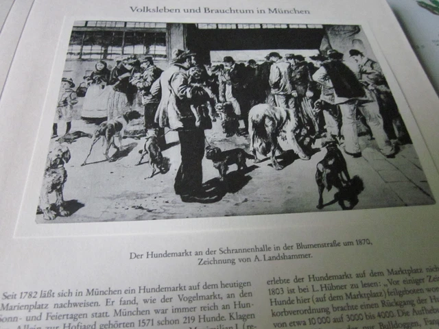 MÜNCHEN ARCHIV 3 Brauchtum 3022 Hundemarkt an Schrannenhalle 1870 ...
