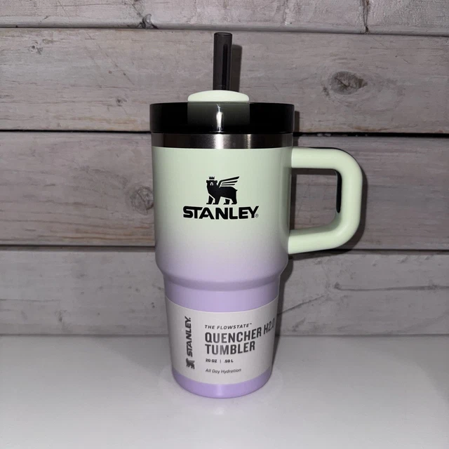 STANLEY X TARGET HYPNOTIC GREEN Halloween 2025 Quencher 20oz Tumbler ...