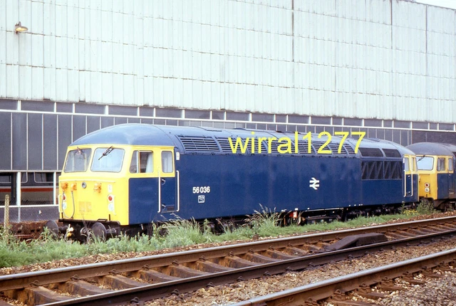 6X4 COLOUR RAILWAY photograph Class 56 56036 in Rail Blue (rare shot ...