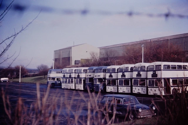 1977 ORIGINAL BUS Slide Bus Multibus Bus Tree Ref 5457 EUR 5,93 ...