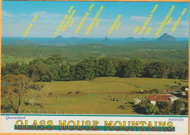 THE GLASSHOUSE MOUNTAINS Identified Sunshine Coast Qld Wren Postcard $8 ...