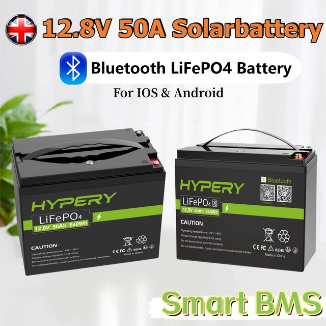 LIFEPO4 50AH 12V LITHIUM Bluetooth Solarbattery Leisure Off-Grid RV ...