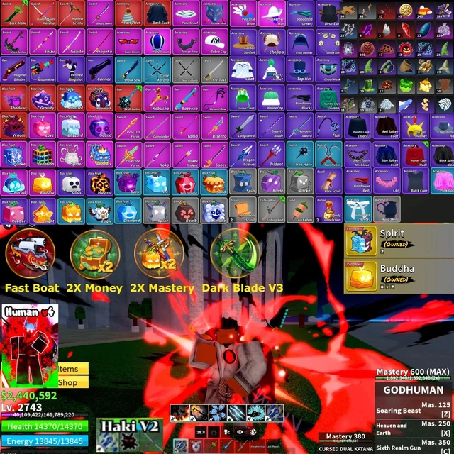 BLOX FRUIT LV2800 HUMAN V4 Godhuman DB V3 Fast Boat 2x Mastery/Money ...