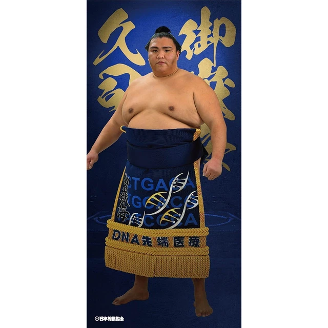 PRE-ORDER SUMO WRESTLER Rikishi MITAKEUMI Big size Poster 47x100cm, 18 ...