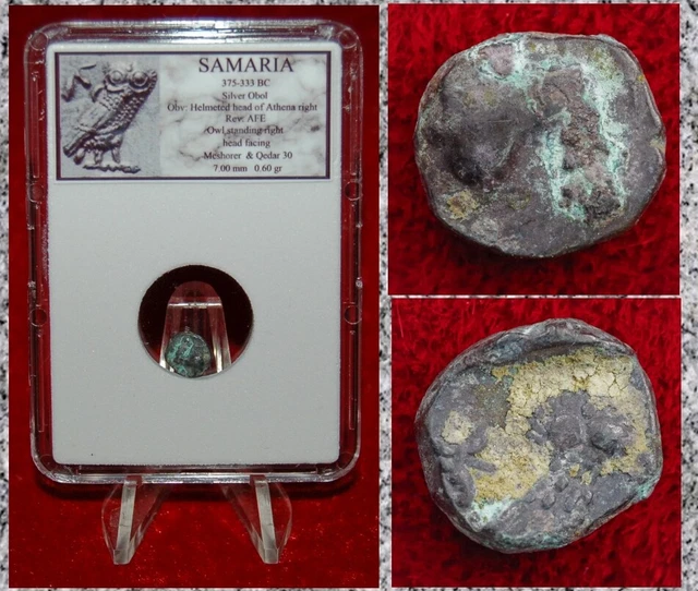 ANCIENT COIN SAMARIA Helmeted Athena and Owl Silver Obol Rare Type of ...