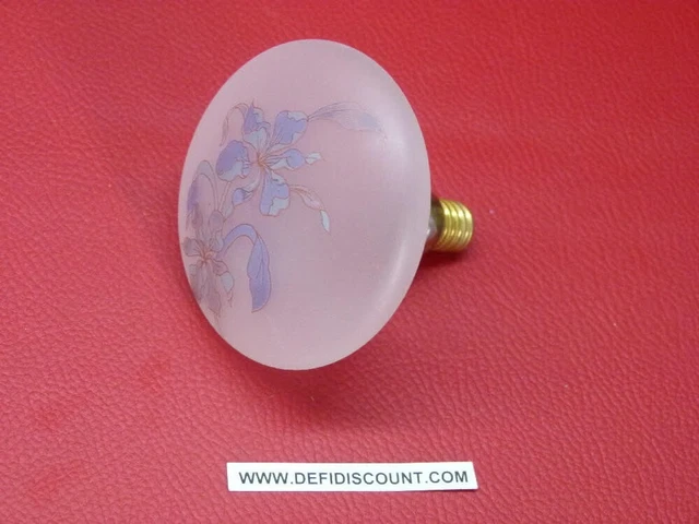 AMPOULE NÉOLAMP 40 watts E14 incandescence satiné 230 volts décor ...