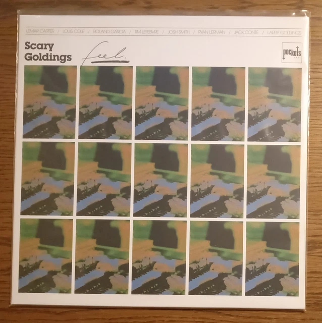 SCARY GOLDINGS FEEL Vinyl Lp Rare 2021 Ryan Lerman EUR 80,00 - PicClick DE