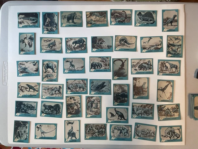 1961 ORIGINAL NU-CARDS Dinosaurs Series Complete Set of 80 Cards £831. ...