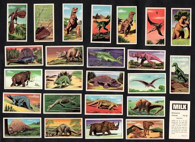 DINOSAURS & PREHISTORIC Animals Rare Complete 25 Card Set 1963 MMB ...