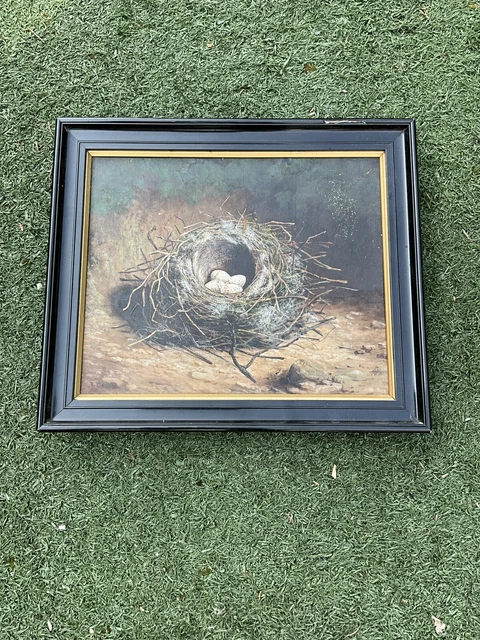 ANTIQUE ORIGINAL OIL Painting On Canvas Birds Eggs in Nest Signed £50.00 - PicClick UK