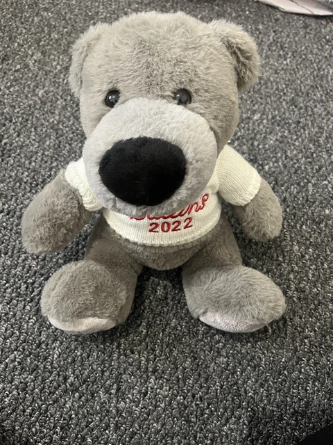 BUTLIN’S COLLECTIBLE BINKIE Bear 2022 Soft Toy Plush Teddy Skyline ...