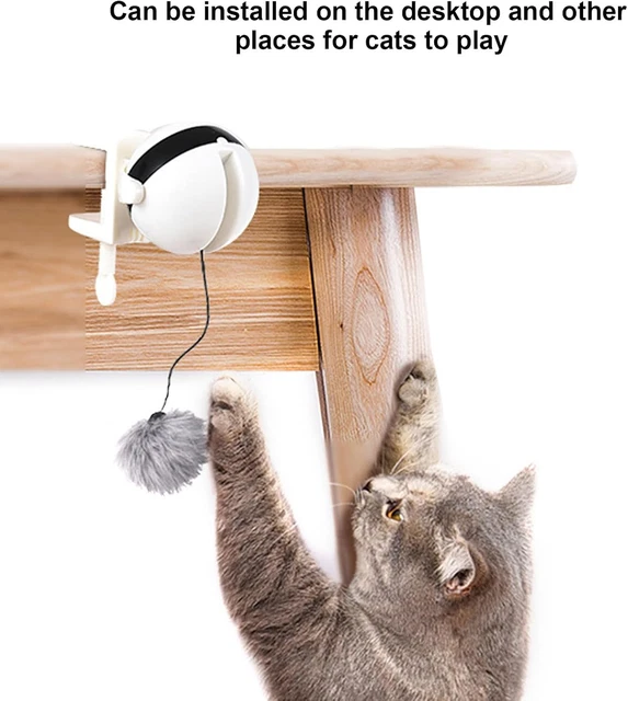 CAT TOYS FOR Indoor Cats, Interactive Automatic Lifting Ball ...
