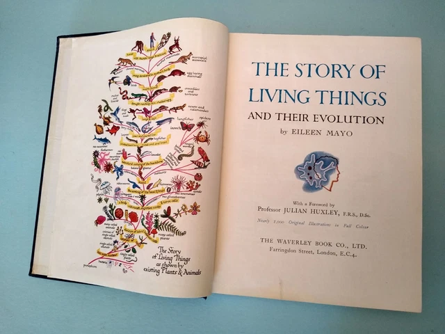 THE STORY OF Living Things and Their Evolution By Eileen Mayo ...