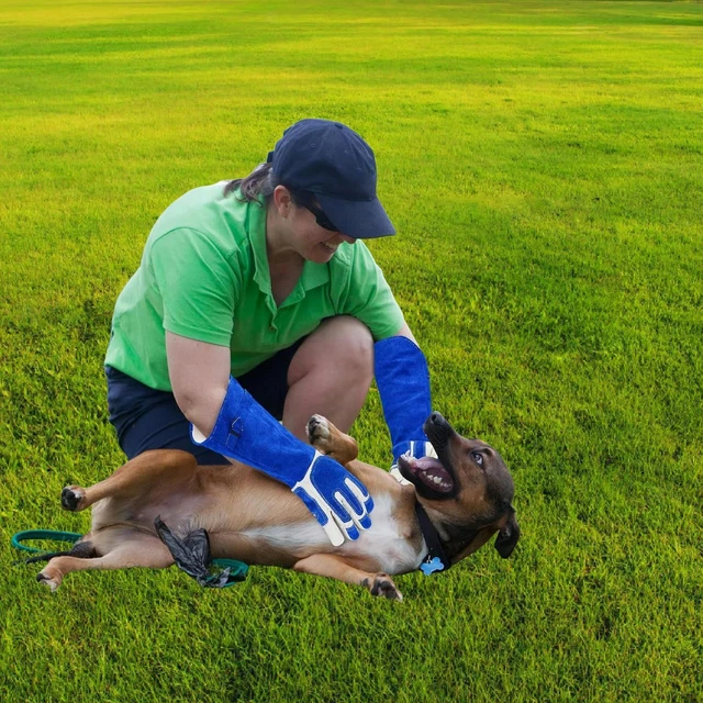 ANIMAL HANDLING GLOVES Work Gloves Multipurpose Scratch BBQ Trips to ...