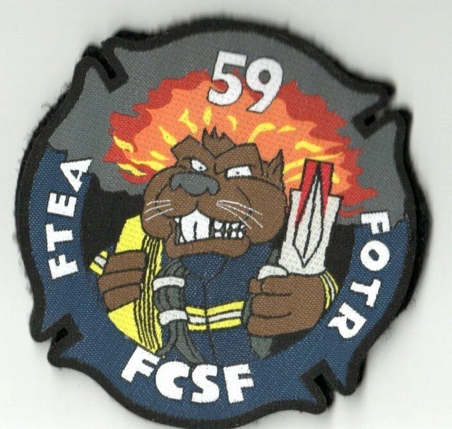 ÉCUSSON POMPIER SECURITE civile sdis 59 COEPT SECLIN EUR 10,00 - PicClick DE