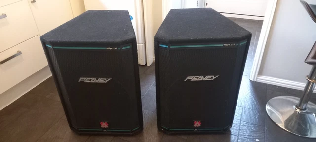 PEAVEY PA SPEAKERS HiSys 2XT 350W RMS 700PROG used £156.72 - PicClick UK