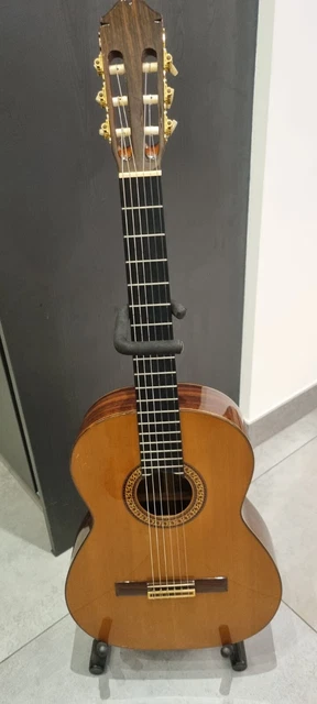 STUNNING RAIMUNDO 146 Classical Guitar Solid Cedar top and solid sides ...