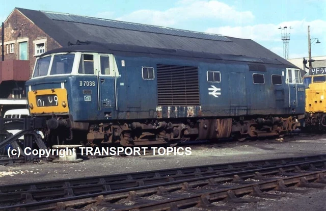BRITISH RAILWAY DIESEL LOCO PHOTO CLASS 35 HYMEK No 7036 £1.50 ...