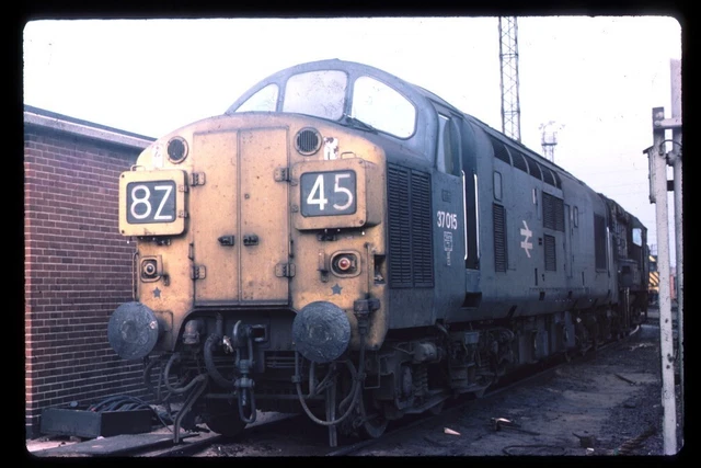 BRITISH RAILWAYS CLASS 37 No.37015 - 35mm Photographic Slide At Toton ...