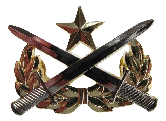 US ARMY RANGER Qualification Badge Military 2" Lapel Hat Pin Gold ...