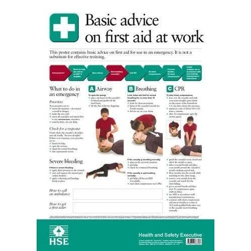 FIRST AID POSTER (A2) - Wallchart NEW Executive, Grea 27/11/2017 £20.84 ...