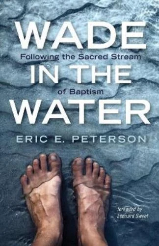 ERIC E PETERSON Wade in the Water (Poche) EUR 20,69 - PicClick FR