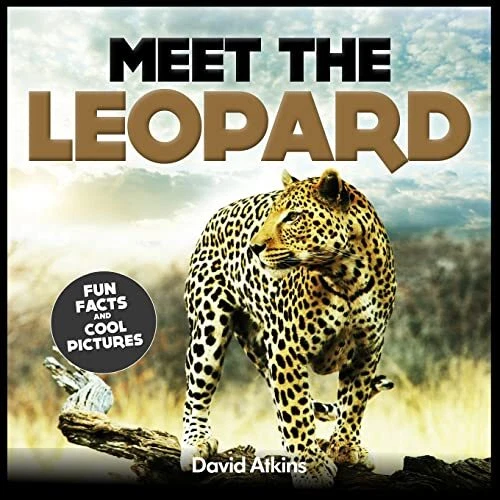 MEET THE LEOPARD: Fun Facts & Cool Pictures (Meet The Cats) - Davi EUR ...