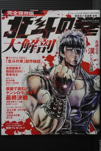 POING DE L'ÉTOILE polaire / Hokuto no Ken Dai kaibou (Guide) - du JAPON EUR 74,21 - PicClick FR