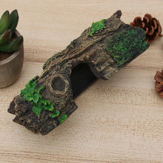 BOL POISSON ORNEMENT Aquarium Reptile Tortue Habitat Poisson Reptiles ...