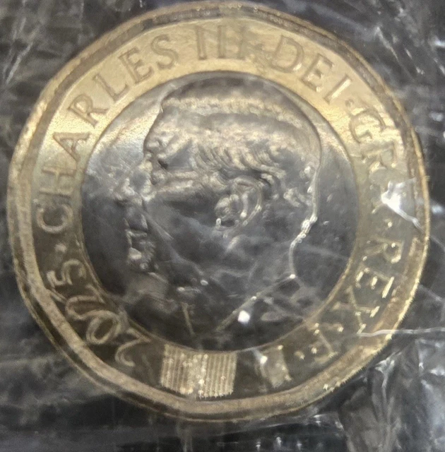 2025 KING CHARLES Bees £1 One Pound Coin From A Sealed Bag - Low ...