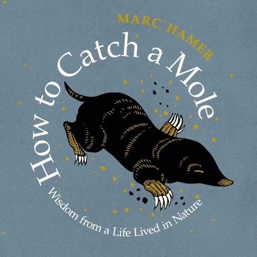 MARC HAMER HOW to Catch a Mole (Copertina rigida) EUR 28,55 - PicClick IT