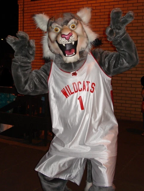 DISNEY'S HIGH SCHOOL Musical "Wiley Wildcat" Genuine Alinco Mascot ...