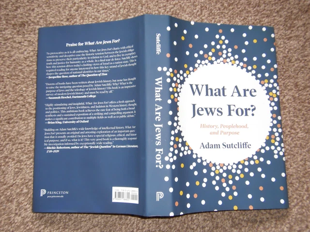 WHAT ARE JEWS For? by Adam Sutcliffe Hb in Dw 2020 signed £25.00 ...