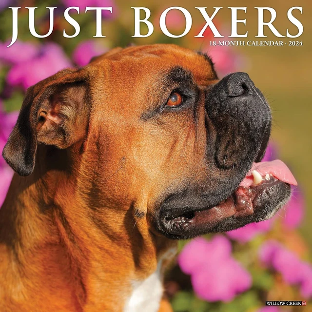 JUSTE BOXERS - 2024 Calendrier Mural - Tout Neuf - 32640 EUR 18,95 ... JUSTE BOXERS - 2024 Calendrier Mural - Tout Neuf - 32640 EUR 18,95 ...