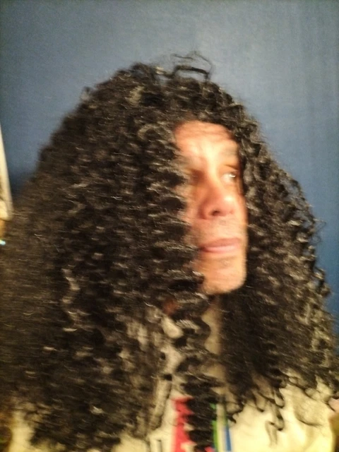 MUSKETEERS PIRATES PERIOD Judge Viking Caveman Drag Hippy Wig Hairpiece ...