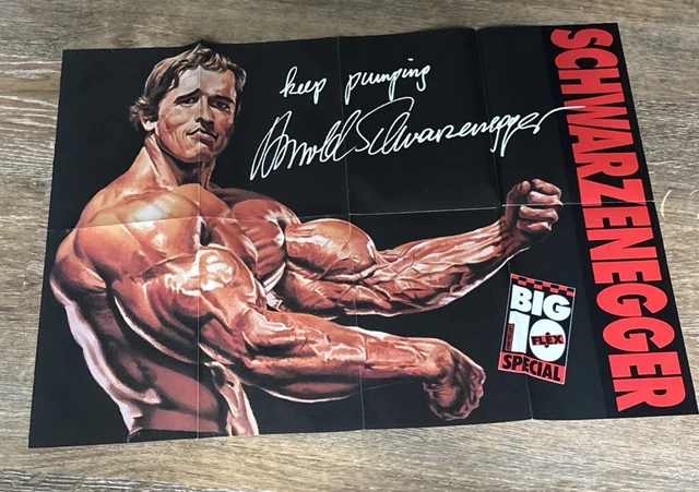 ARNOLD SCHWARZENEGGER/EVERSON 10TH Anniversary FLEX Bodybuilding Poster ...