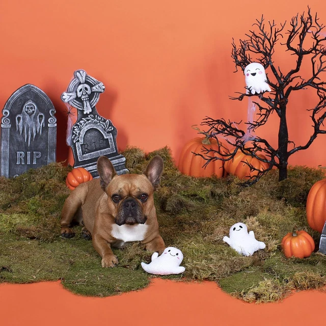 3-PACK MINI PLUSH Dog Toys with Squeaker - Hey Boo, Multicolour, Small ...