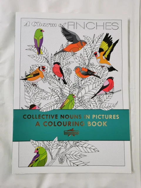 COLLECTIVE NOUNS IN Pictures: A Colouring Book MinaLima £26.98 ...