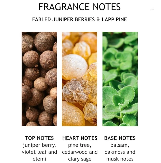 MOLTON BROWN 🌲 Fabled Juniper Berries & Lapp Pine 🌲 Lotion 300ml Brand ...