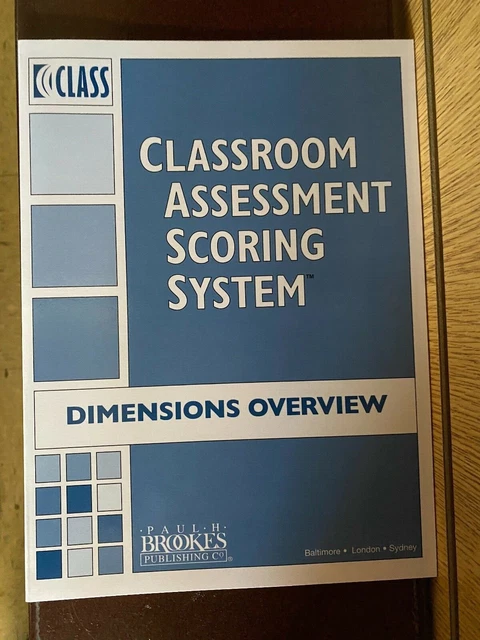 CLASSROOM ASSESSMENT SCORING System Dimensions Overview Pamphlet £15.70 ...