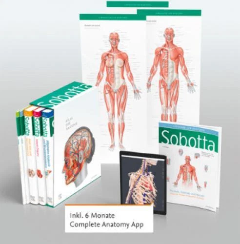 SOBOTTA ATLAS EL Anatomía, 3 Volúmenes+Lerntabellen+Póster Colección En ...