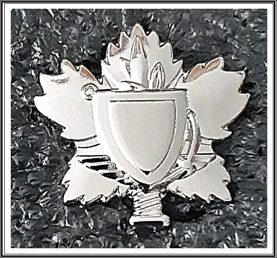 ISRAEL ARMY IDF The security unit of the Kriya base (Magan Kriya) lapel ...