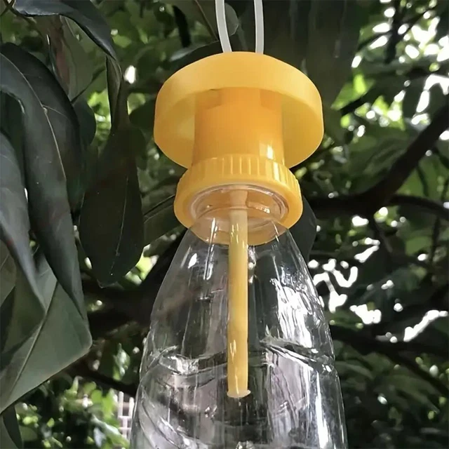 PLASTIC FRUIT FLY Trap Killer Drosophila Trap Fly Bee Trap for Home ...