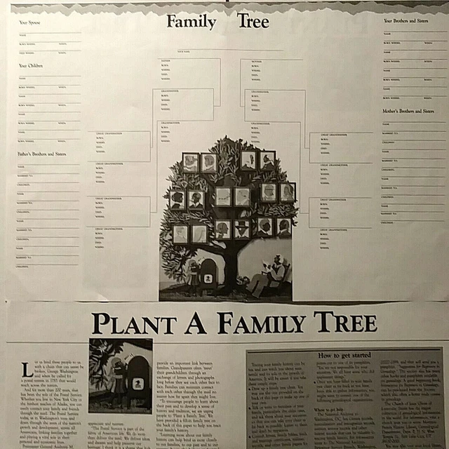 CARTA GENEALOGICA ALBERO GENEALOGICO, STAMPA VINTAGE PER 7 GENERAZIONI ...