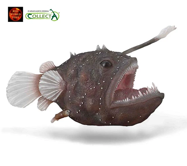 ANGLER FISH ANGLERFISH Sealife Toy Model Figure by CollectA 88967 New £ ...