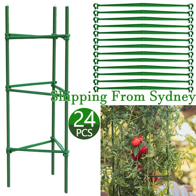 24X STAKE ARMS For Garden Tomato Cage Plant Growth Aid Plant Stem ...