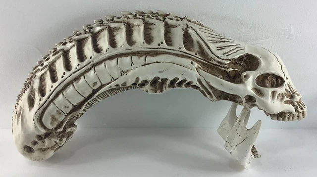 ALIENS XENOMORPH SKULL Replica Mount Display Aliens vs. Predator £273. ...