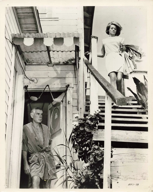 ORIGINAL VINTAGE CINEMA Still Photo Movie Point Blank Lee Marvin Angie ...