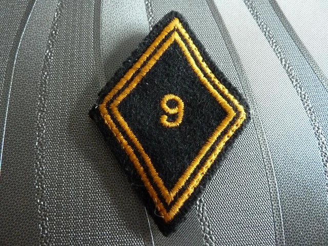 ORIGINAL MILITARY DIAMOND INSIGNIA 9th PARACHUTE FIGHTER REGIMENT TBE £ ...